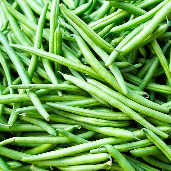 POLE BEAN, Scarlet Runner Phaseolus coccineus – Ferri Seeds