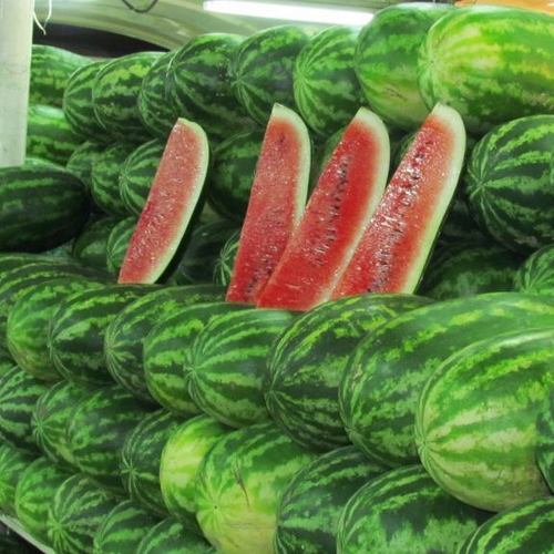 Citrullus lanatus WATERMELON 'CONGO' – Ferri Seeds