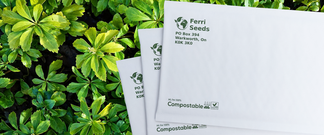 Ferri Seeds
